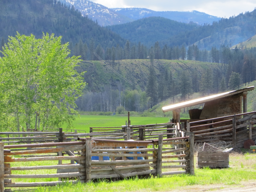 Horse & Cattle Ranch | 430+ Acre Methow Ranch For Sale
